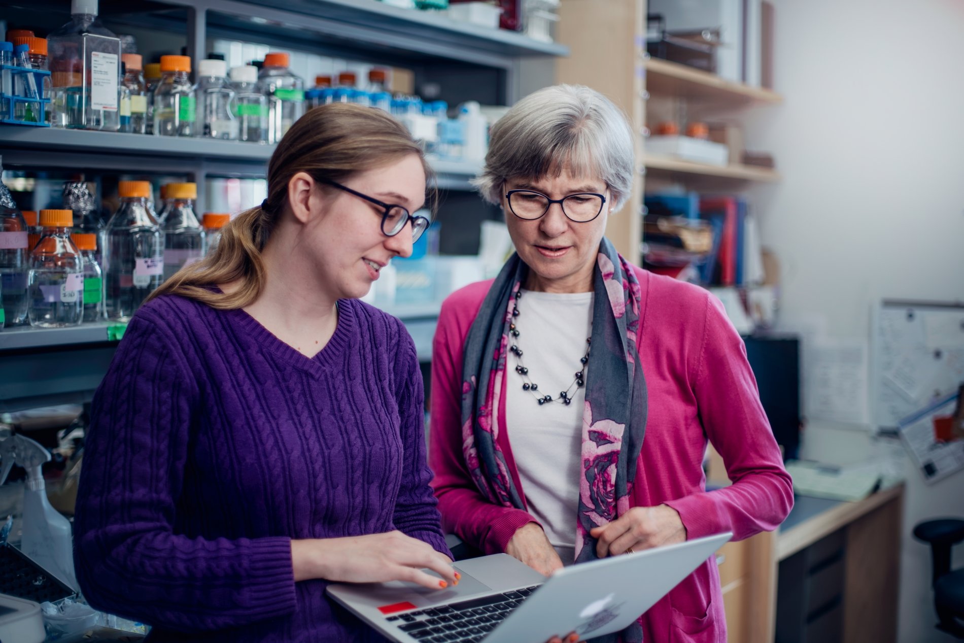 Interdepartmental Neuroscience Program Yale Graduate School Of Arts